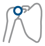 Elite Sports Medicine + Orthopedics | Orthopedics in Nashville